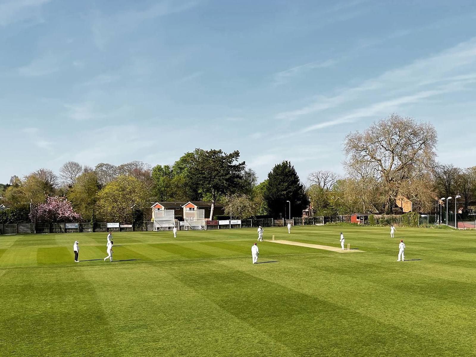 Gallery | Marlow Cricket Club